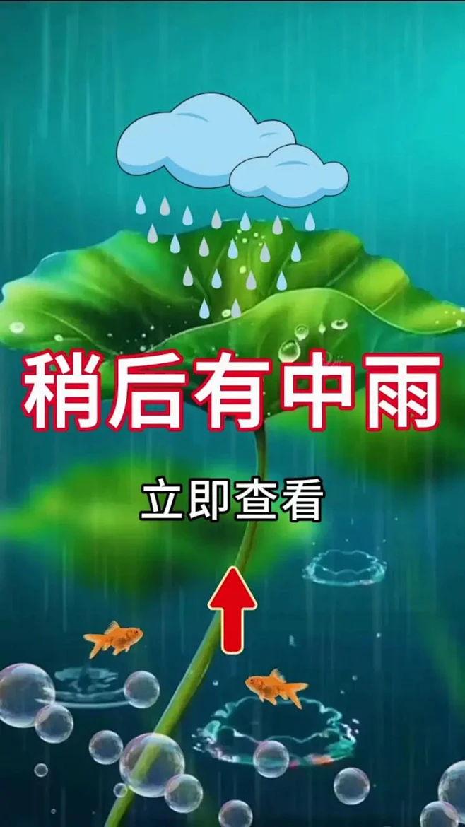 1 (111)-花瓣网