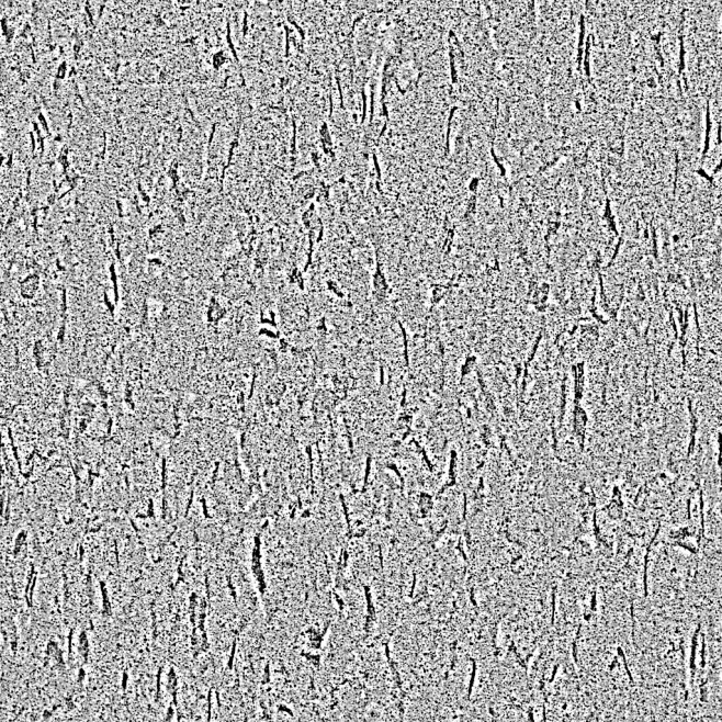 plastic_05_specular