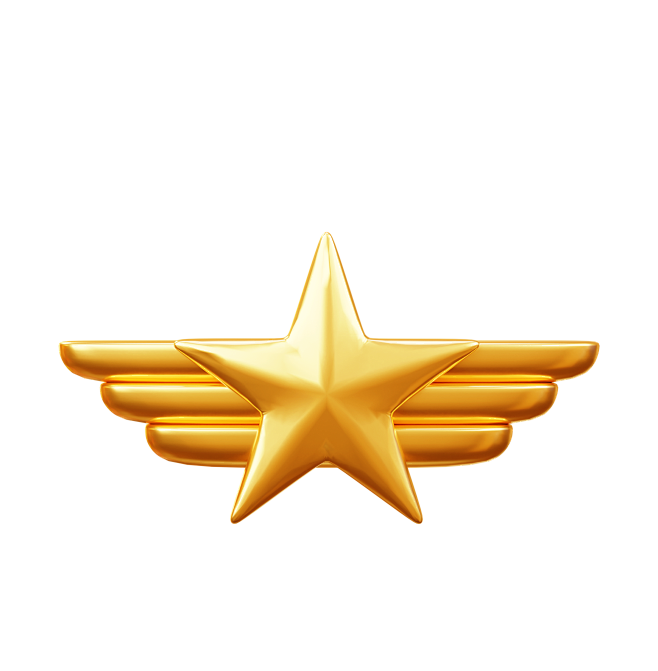 wings_and_star_military_badge