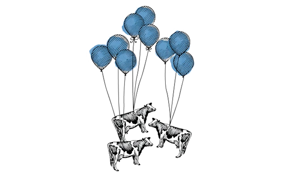 Three Happy Cows Illustrations created by Steven Noble : Three Happy ...