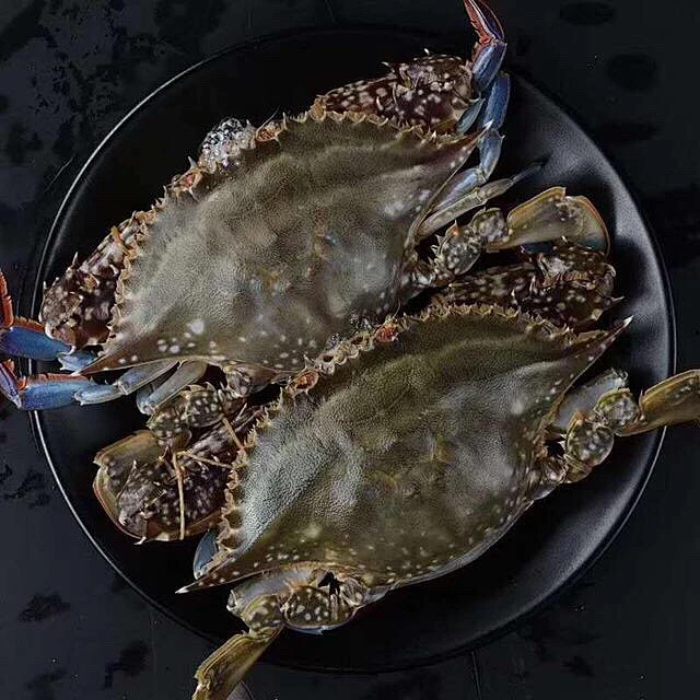 花瓣灵感详情页-花瓣网