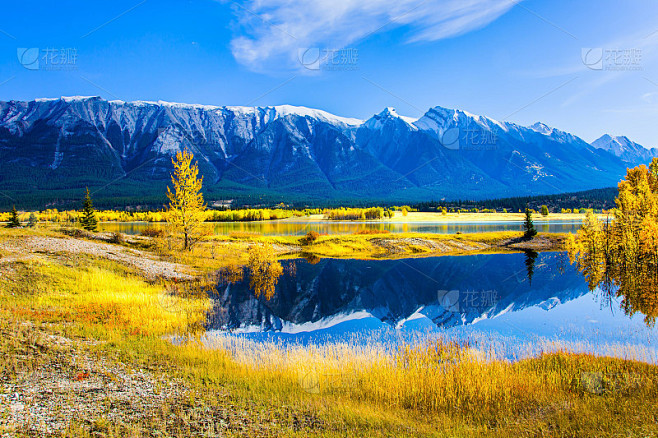 亚伯拉罕湖是加拿大落基山脉中最美丽的湖。浓密的森林覆盖着湖岸。生态旅游和活跃旅游的概念