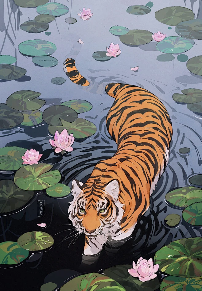 Year of the Water Tiger-花瓣网