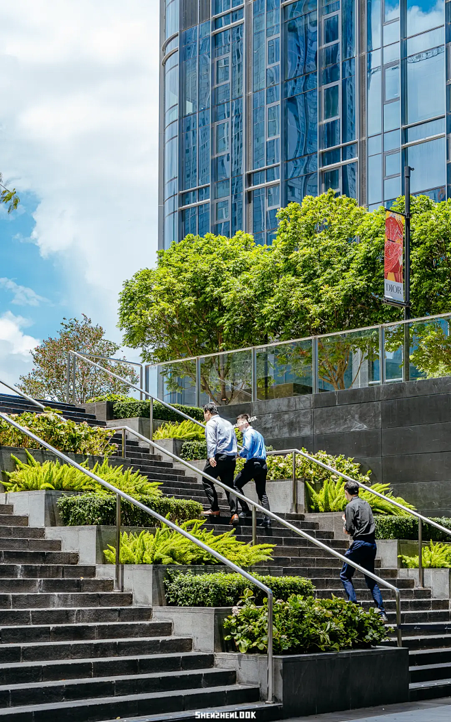 楼梯、层级花池、自然型地被+修剪型地被