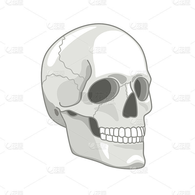 卡通的头骨。可爱的灰色头骨脸概念矢量插图，幽灵骷髅死头素描孤立在白色