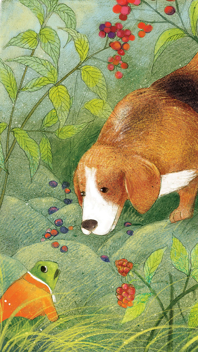 The Adventure of Grandpa Frog - 越南插画师 Shishi Nguyen 作品：青蛙爷爷的历险记 http ...