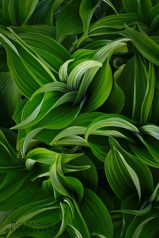 (499) Pinterest-花瓣网