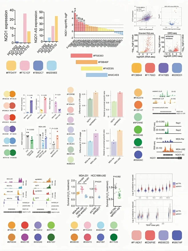 跟着CNS顶刊学习科研绘图配色！ - 小红书