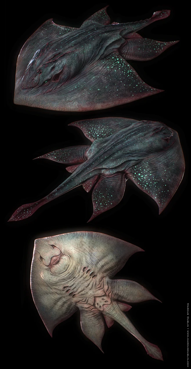 Stingray, Marcus Dublin : Alien Stingray creature.-花瓣网