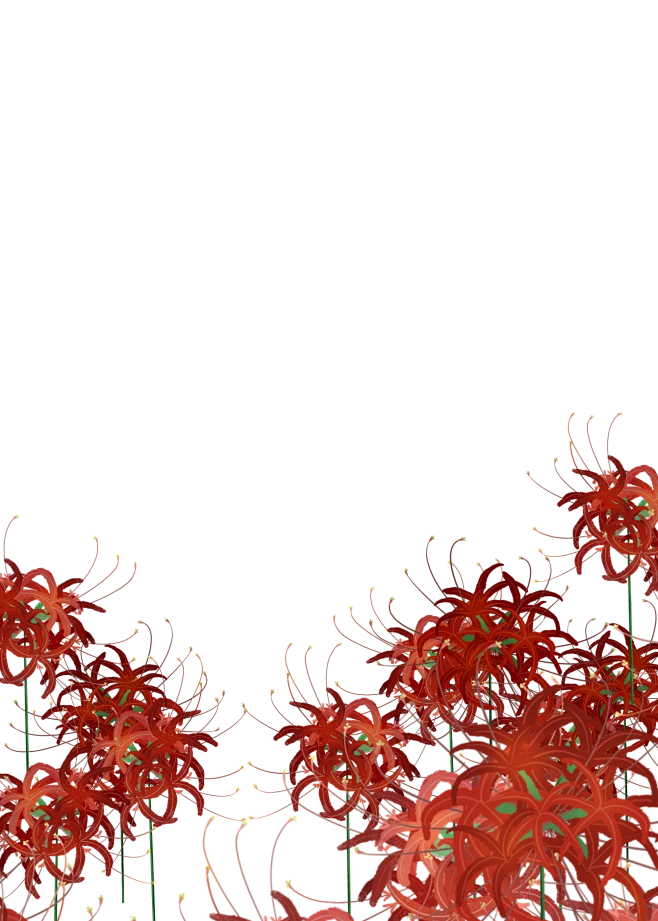 610829502eb449b9a7c4a28b8009621b~noop.image (2000×2800)-花瓣网