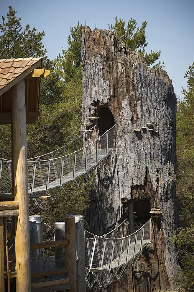 Wild Walk by Linearscape – mooool-花瓣网