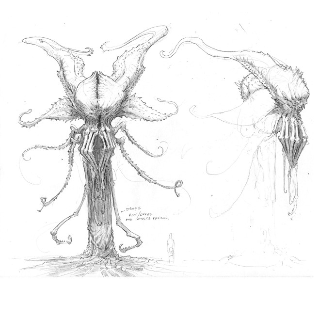 nick-de-spain-rot-rot