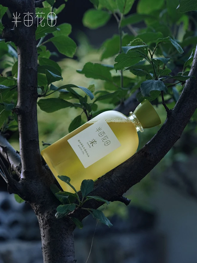 a2fba08bgy1hfbs2pnt92j20xc18gtmv.jpg (1200×1600)-花瓣网