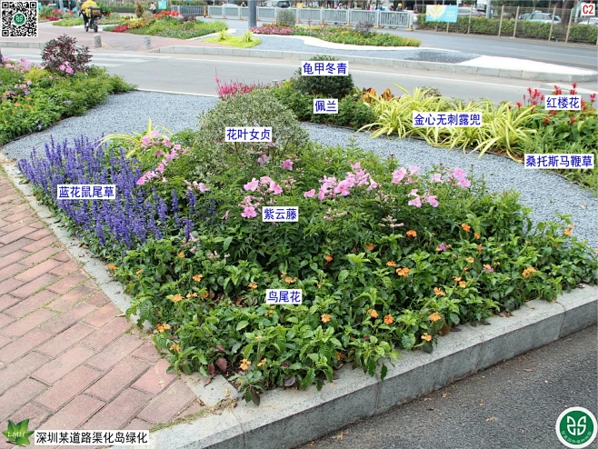 交通岛、道路、花境：深圳道路渠化岛绿化(2022年1月)-花瓣网