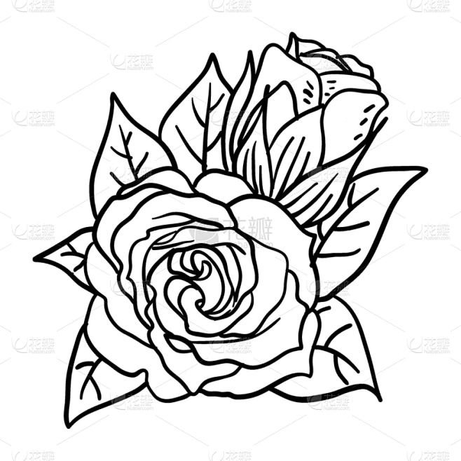 group flower line drawing素材-花瓣网