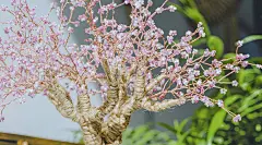 8fa6b119ebc4b745a8dd0b6cccfc1e178b821576-花瓣网