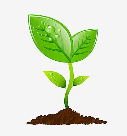 小禾苗_新图网 https://www.ixintu.com-花瓣网