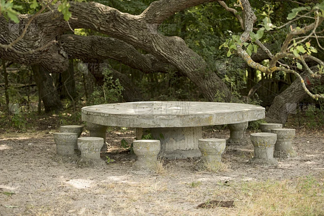 石头桌子和椅子，来自勒特亚村附近的森林，在多瑙河三角洲地区，罗马尼亚，在一个阳光明媚的夏日素材-花瓣网