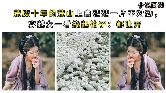 女-古言-大图-无-26LSQ-1206 (8)-花瓣网