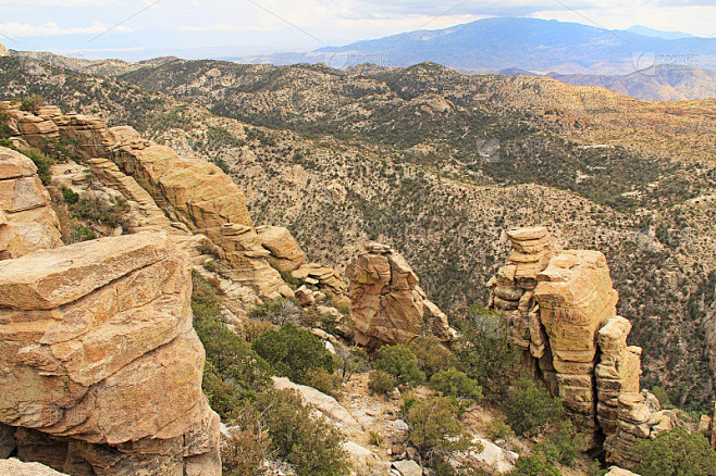从Windy Point Vista眺望图森