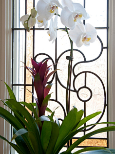 Erin Shafer | Skyline-花瓣网|陪你做生活的设计师 | ##家居##家居装修##装修风格#