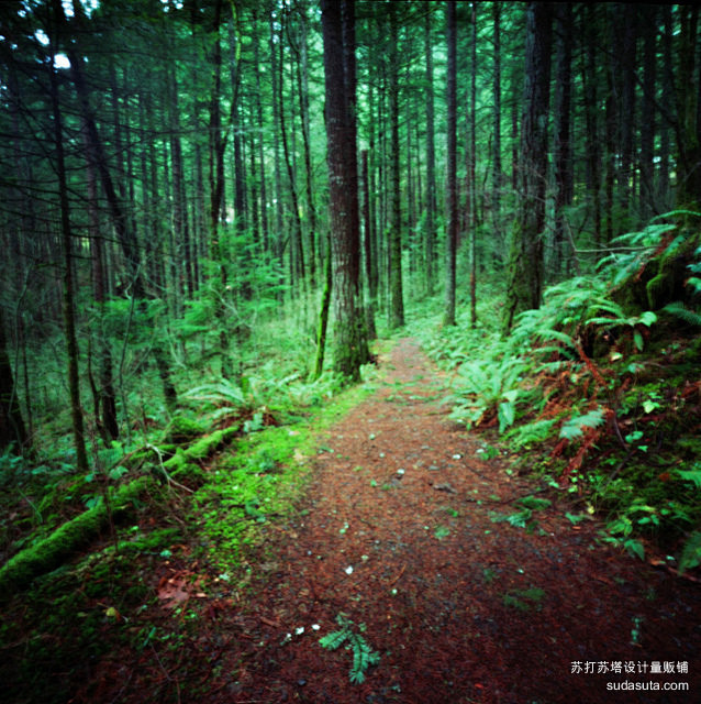 Katie Baxter -电影般的镜头_2421844068