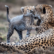 Photograph Untitled by JACK RABBIT on 500px