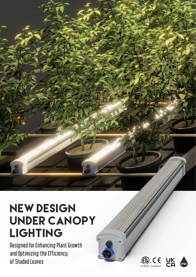 Under Canopy LED 160W LED 3.0 Umol/J 4FT Greenhouse Indoor Farming ...