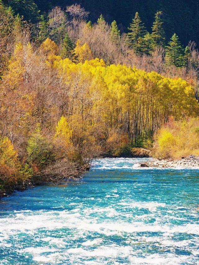 川西秋天 - 小红书搜索-花瓣网
