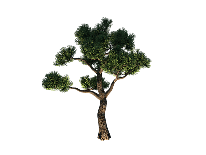 QQ图片20180529171122