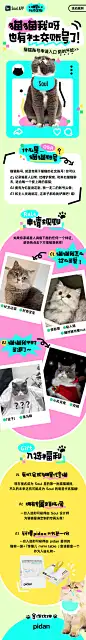 喵星人社交计划H5-Soul图片_J-交友图片素材-花瓣网