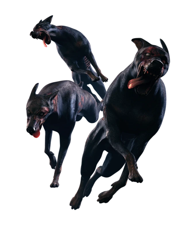 Resident Evil - Zombie Dogs - Render by Allan-Valentine-花瓣网