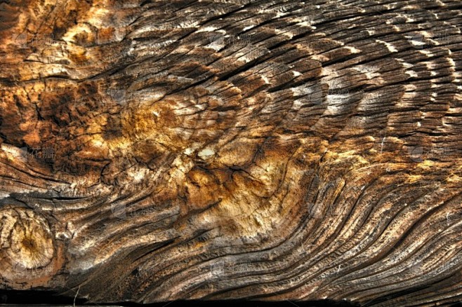 Wood texture old hdr