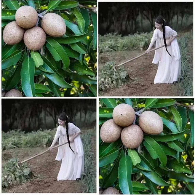 广告素材搜索 - AppGrowing - 有米云-花瓣网