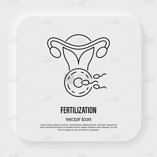 施肥细线图标。子宫、精子受精。胚胎学。矢量插图。