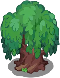 美卡植物图片大全-美卡植物高清好看的图片--花瓣Achimonde的画板