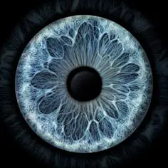 In The Distance - Fallacy x Encre (Book One) - Chapter 1 - Kip ...