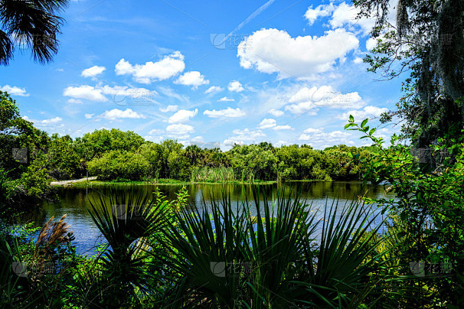 令人惊叹的风景