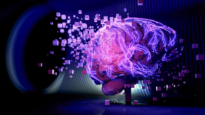 Render visualization 3D brain-花瓣网