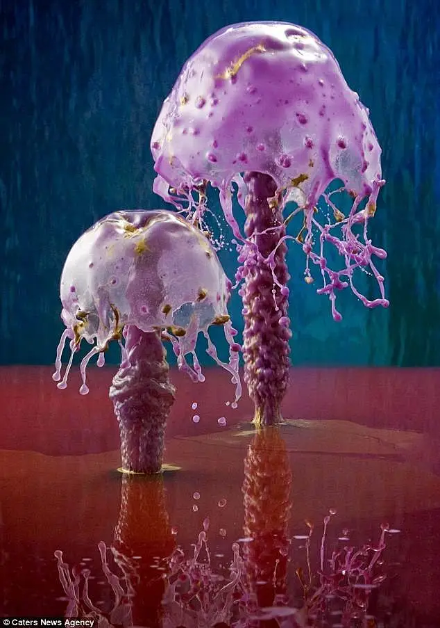 蘑菇的搜索结果_360图片搜索-花瓣网