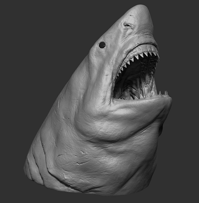 LIFE-SIZE Megalodon for WA Museum Boola Bardip, Vlad Konstantinov ...