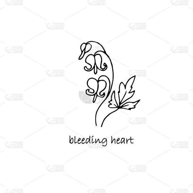 Bleeding heart plant sketch. Hand drawn ink art de