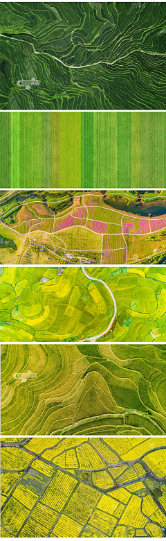 图片素材_花瓣_采集