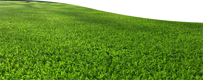 Field-PNG-Download-Image.png (1889×747)