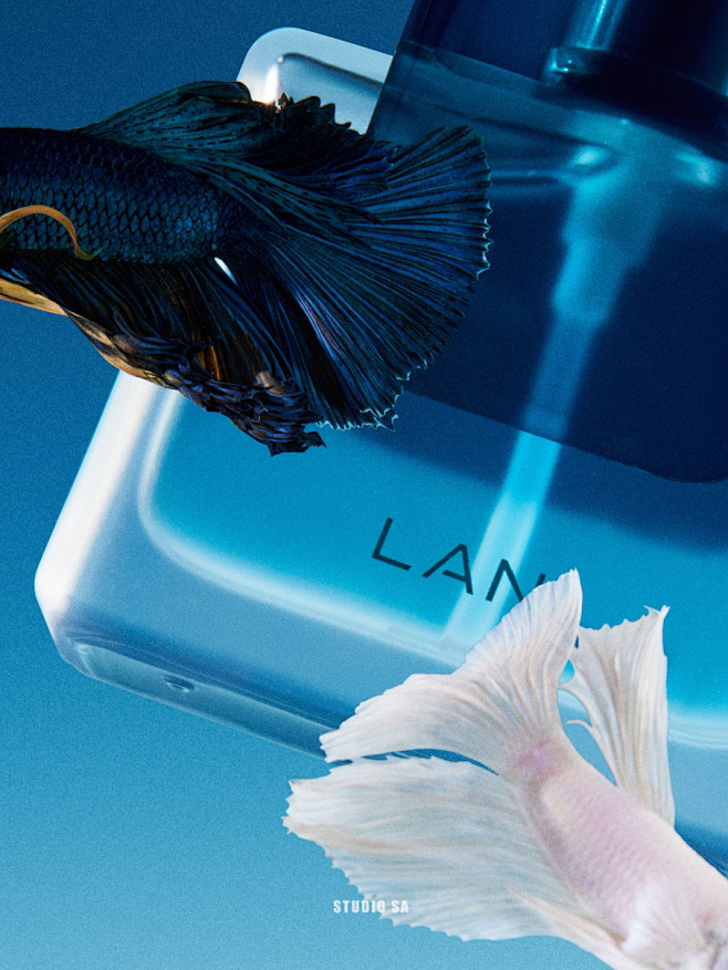 LAN X Sensory Art studio