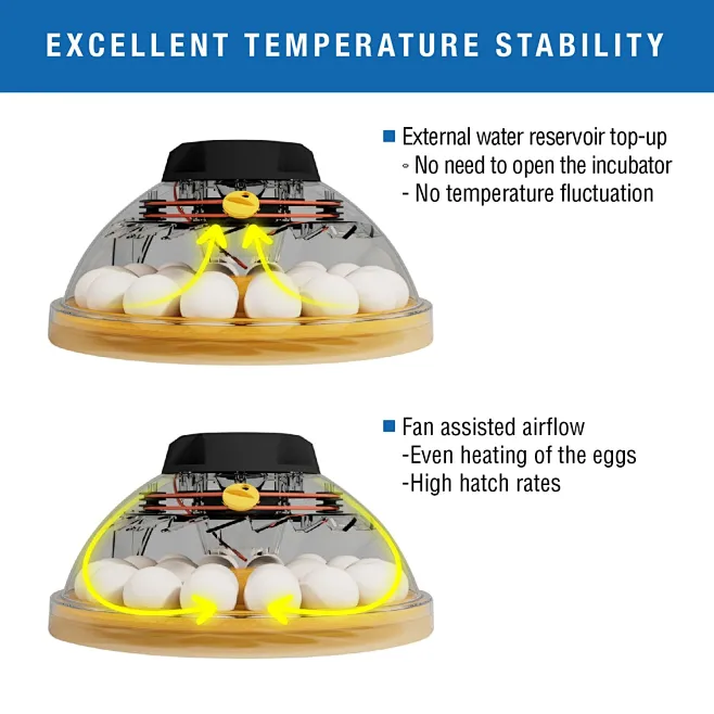 Amazon.com: Brinsea Maxi 24 Advance Egg Incubator with Automatic Egg ...
