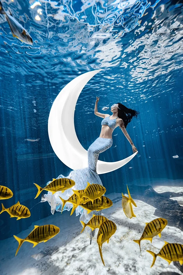 海昌梦幻海洋不夜城 - 小红书搜索-花瓣网