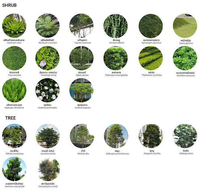 33_015-quarter-39-by-shma