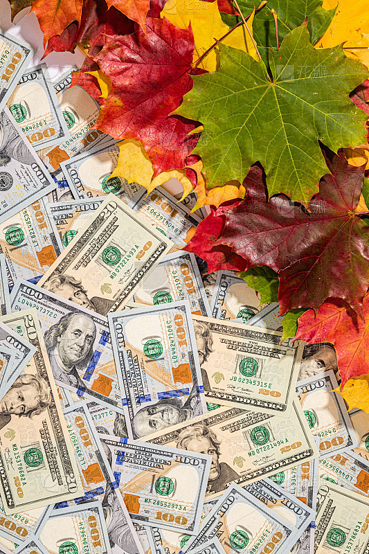 Autumn prices fall concept. Background from dollar