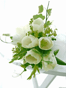 屏保动态壁纸图片-屏保动态壁纸设计素材-屏保动态壁纸模板下载_花瓣网